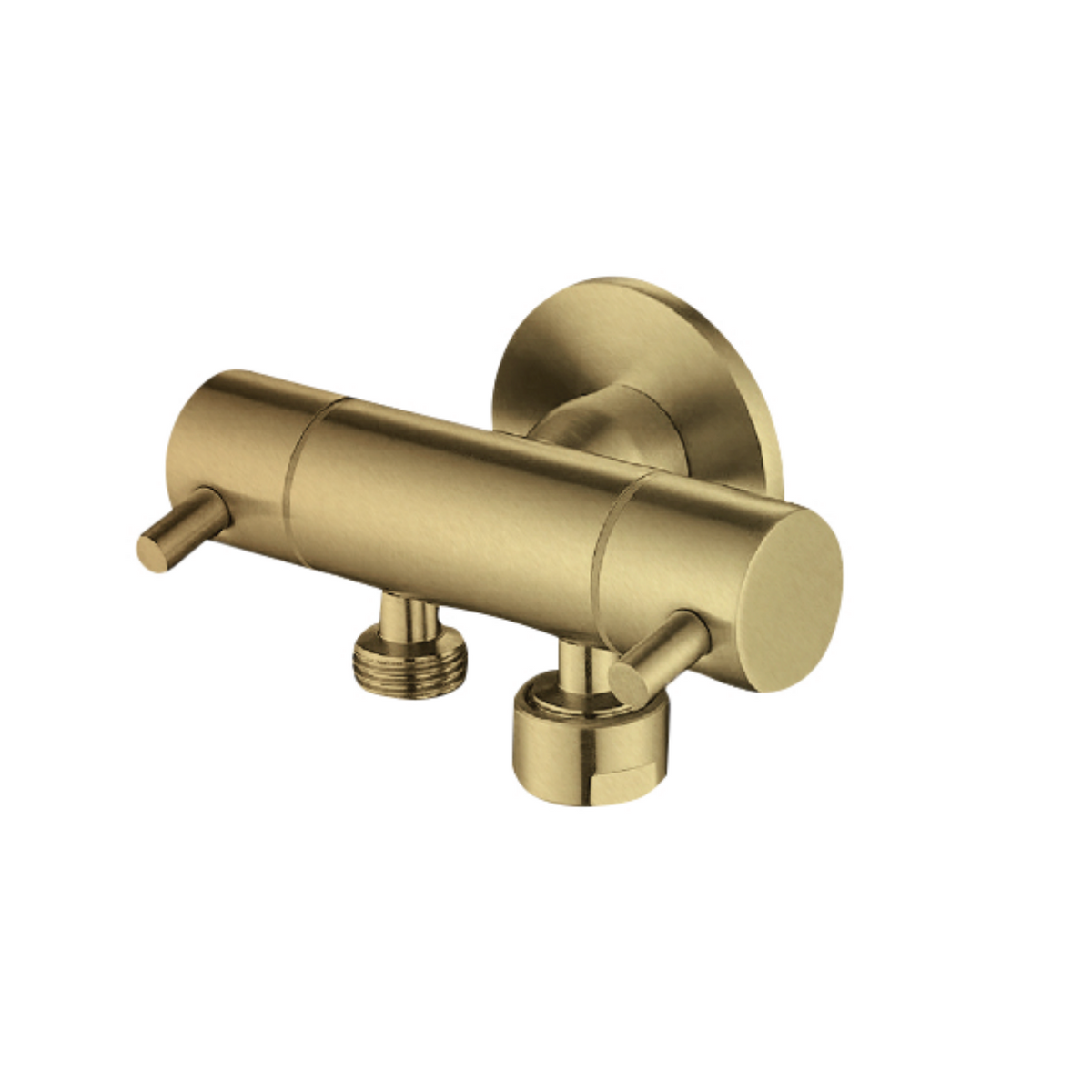 Dual Control Toilet Bidet Mini Cistern Cock - Brushed Gold – Wellsons